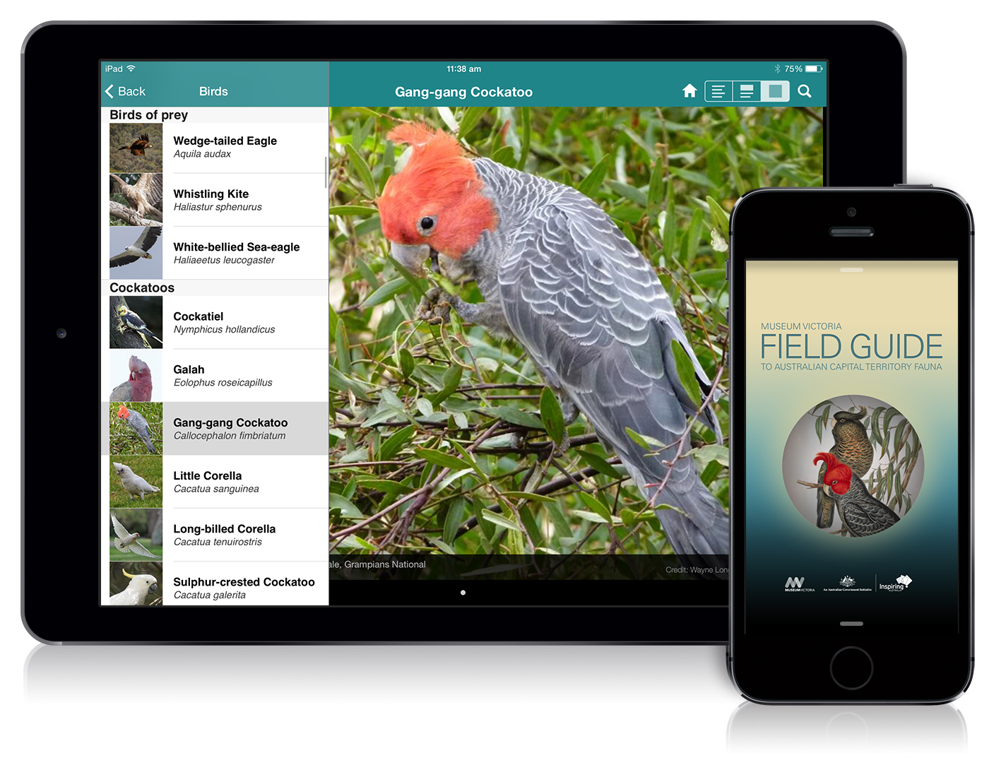 National Field Guide apps
